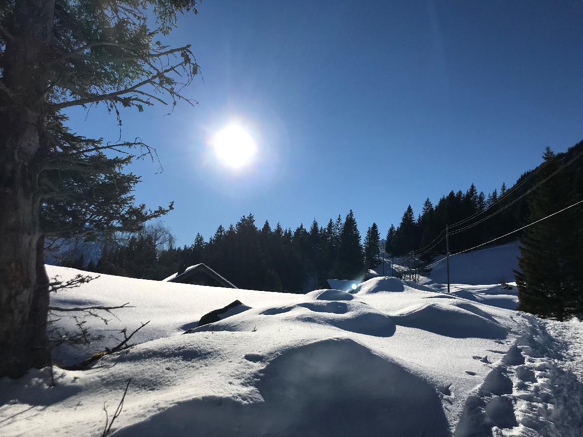 Wort zum Monat, See-Spital Horgen — Spitalseelsorge